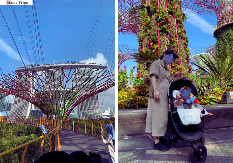 パンパシフィックシンガポール滞在レポ：子連れ旅行に最高な五つ星ホテル | MamaTripp