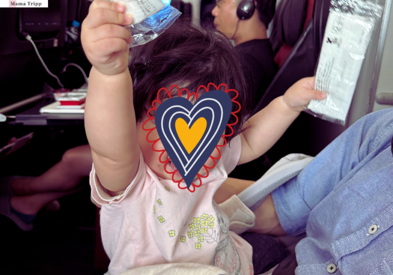 【1歳児と子連れでシンガポール旅行記DAY1】日中便フライトで海外デビュー | MamaTripp