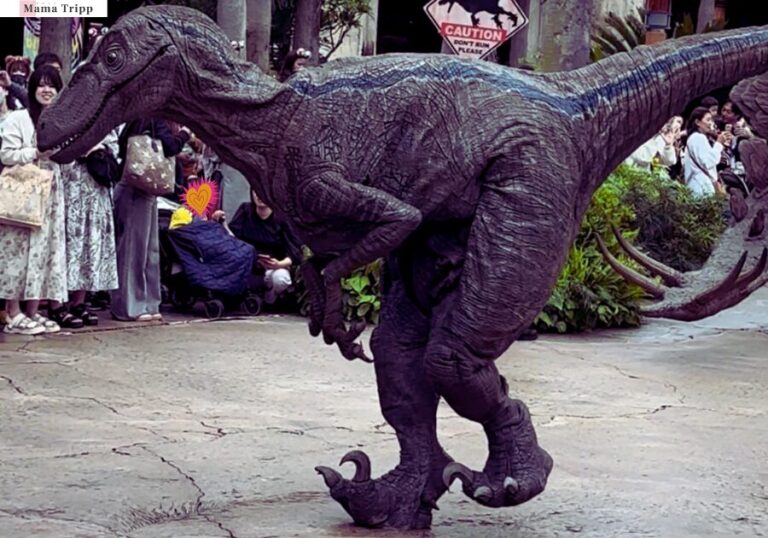 子連れで満喫！ユニバ貸切ナイト｜混雑する？USJ 体験レポ | MamaTripp